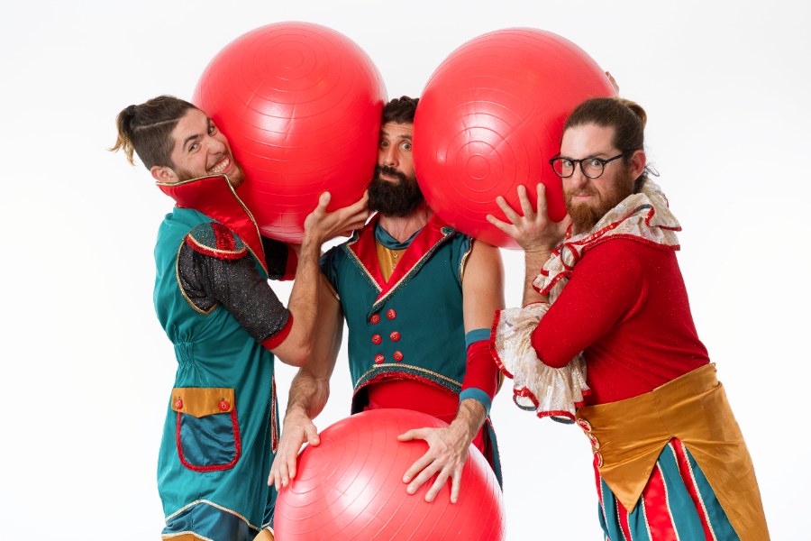 גלריה - קרקס בומבה